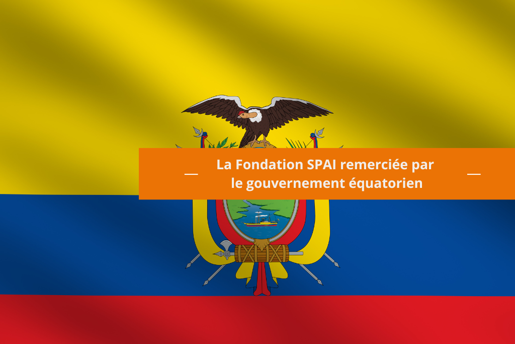 SDIS 06 - La Fondation SPAI remerciée par le gouvernement équatorien